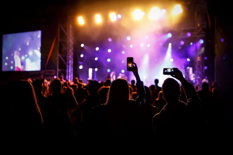 14 Key Safety Tips for Stadiums, Concerts, and Arenas | Brauns Law ...